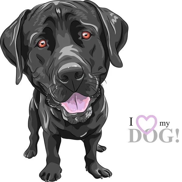 Black Lab Clip Art