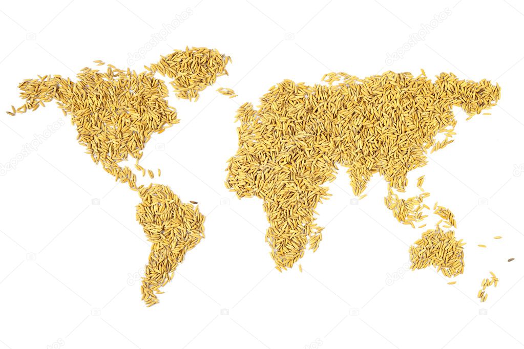 Paddy — Stock Photo © Kris #19128363