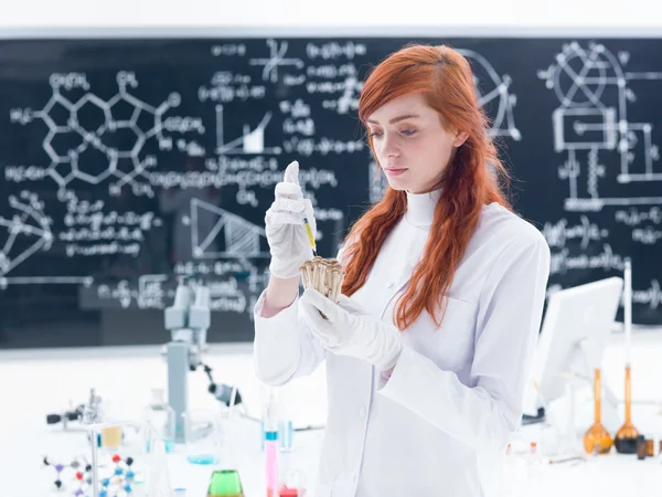 Laboratory mushrooms experiment - Stock Image - Everypixel