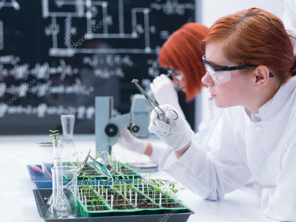 Student analyzing in a chemistry lab — Stock Photo © shotsstudio #27206179