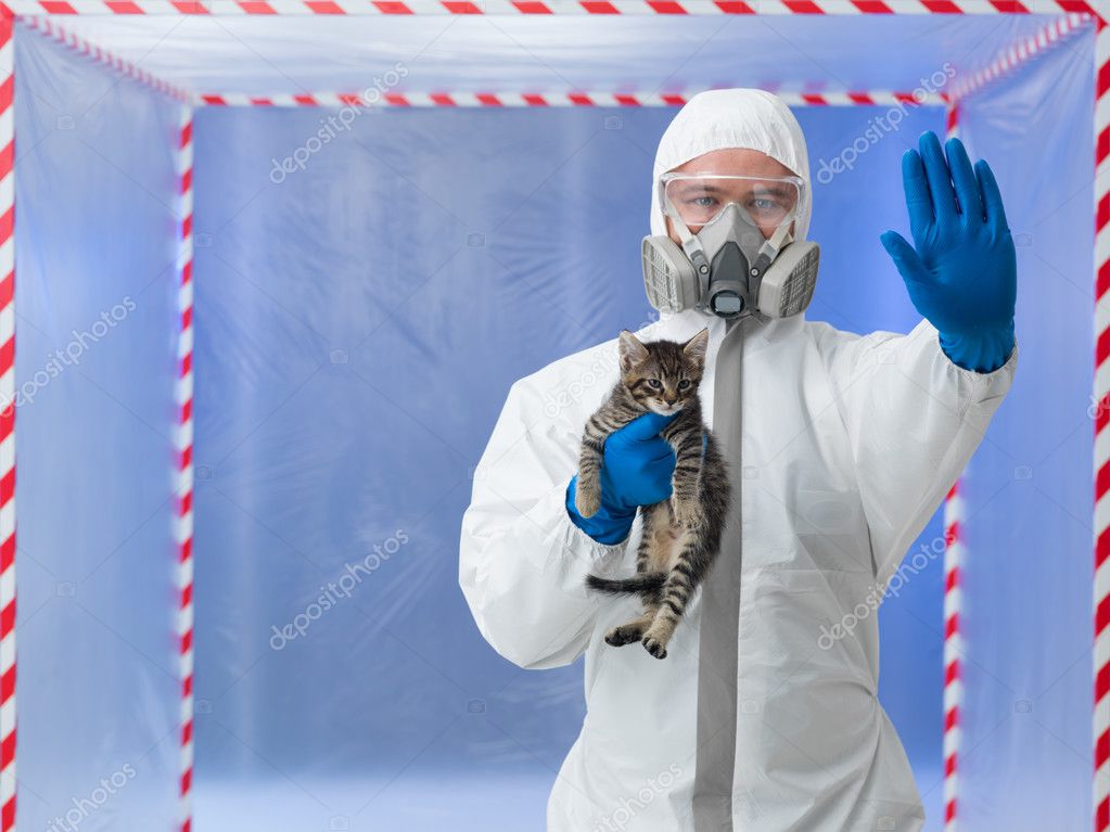 Stop animal testing — Stock Photo © shotsstudio #27702061