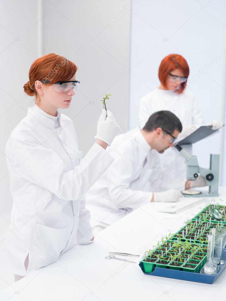 Scientists in a genetic engineering laboratory — Stock Photo ...
