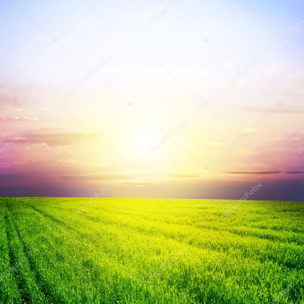 Field Stock Photo by ©robertsrob 14574391