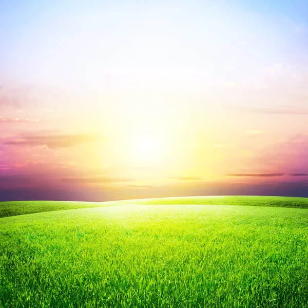 Grassy field Stock Photos, Royalty Free Grassy field Images ...