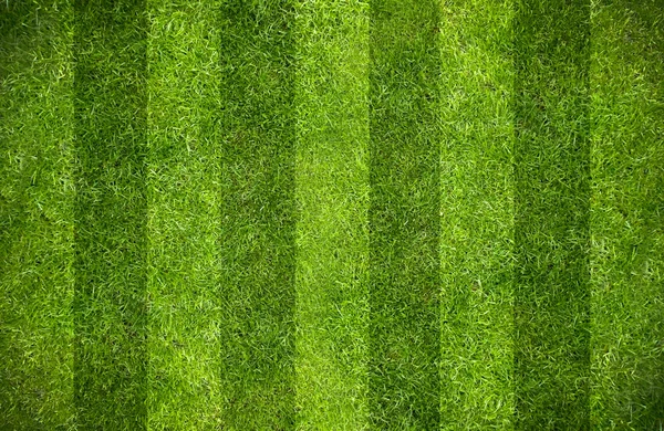 Grass top view Stock Photos, Royalty Free Grass top view Images ...