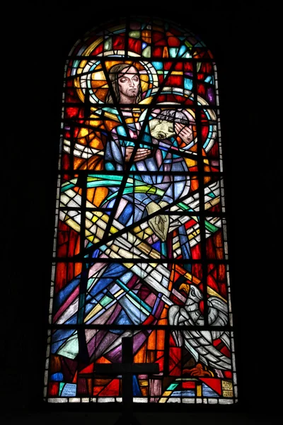 Bobola Stock Photos, Royalty Free Bobola Images | Depositphotos