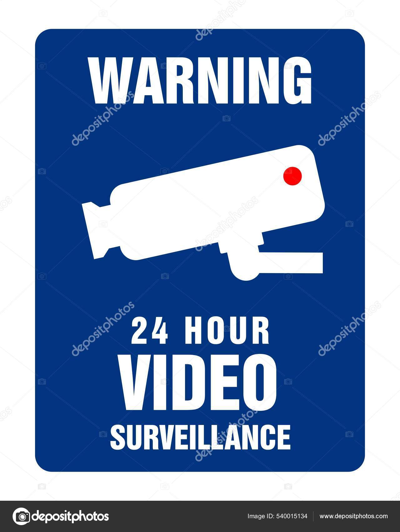 Security Camera Sticker