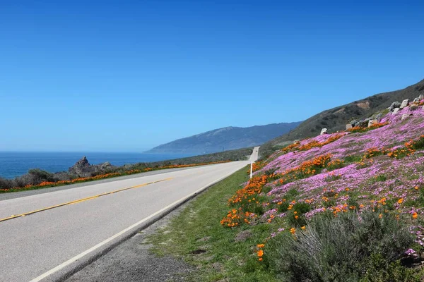 Highway 101 california Stock Photos, Royalty Free Highway 101 ...