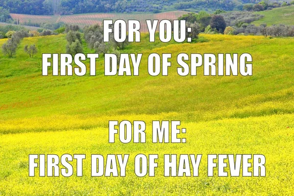 Funny memes Stock Photos, Royalty Free Funny memes Images | Depositphotos