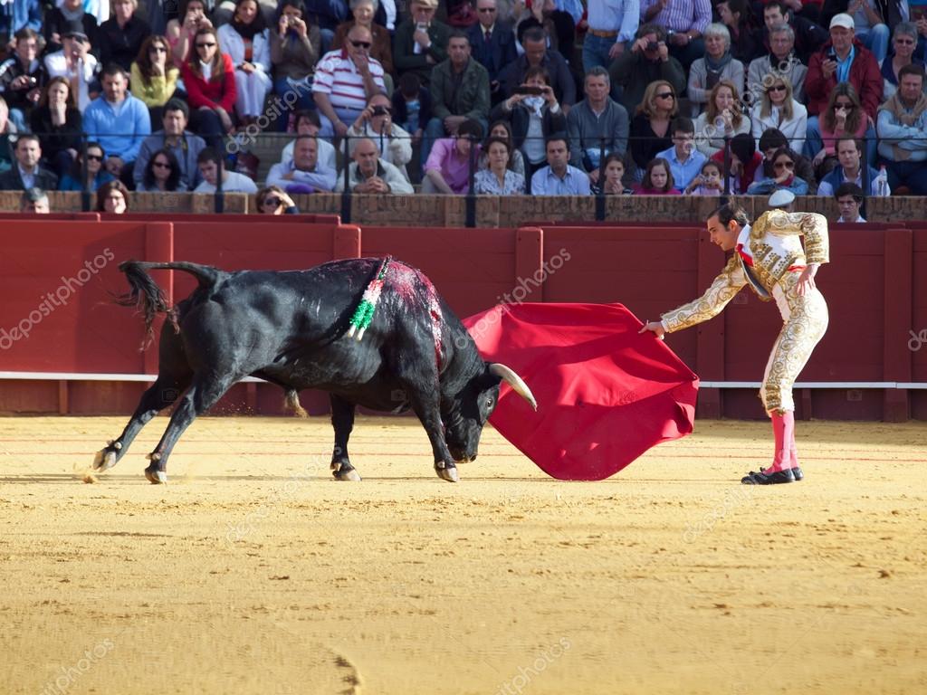SEVILLA-20 DE MAYO: Novilladas en la Plaza de Toros de Sevilla. Novill ...
