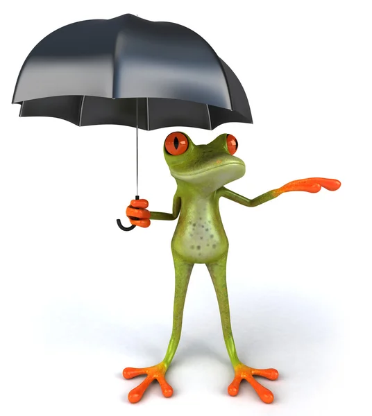 Frog afraid of rain Stock Photo by ...