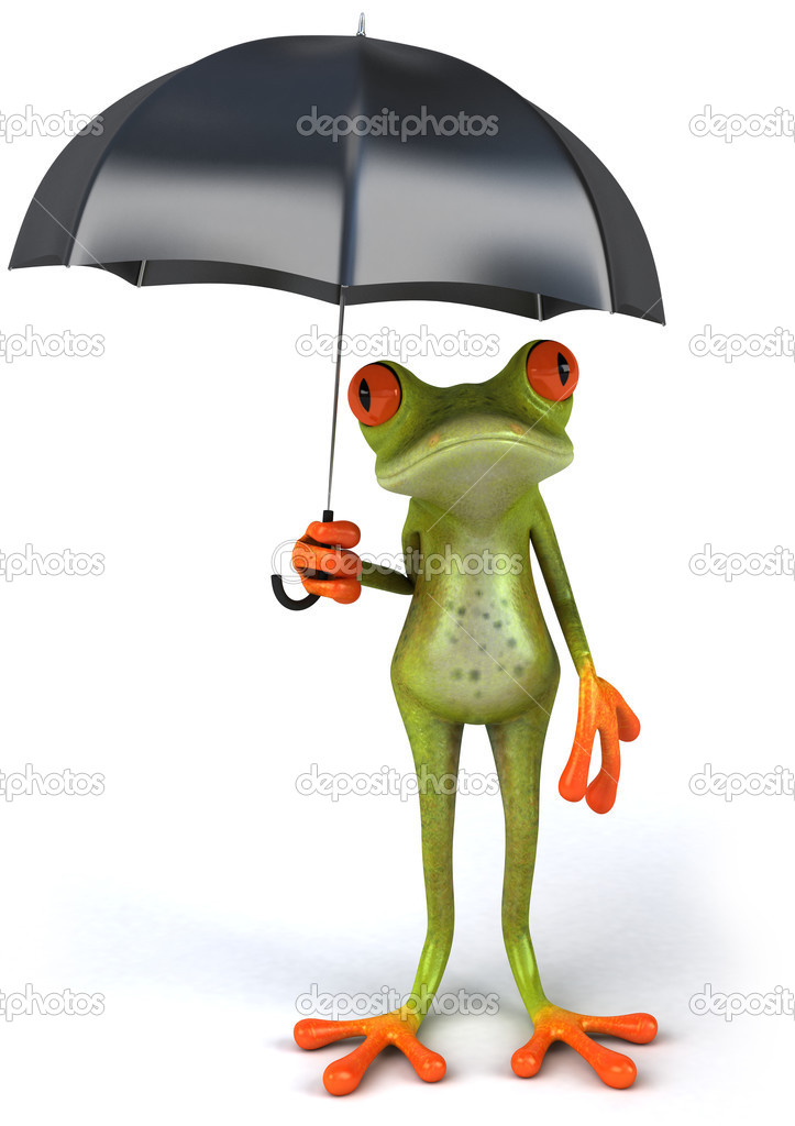 Frog afraid of rain Stock Photo by ...