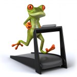 Frog Stock Photo by ©julos 42781291