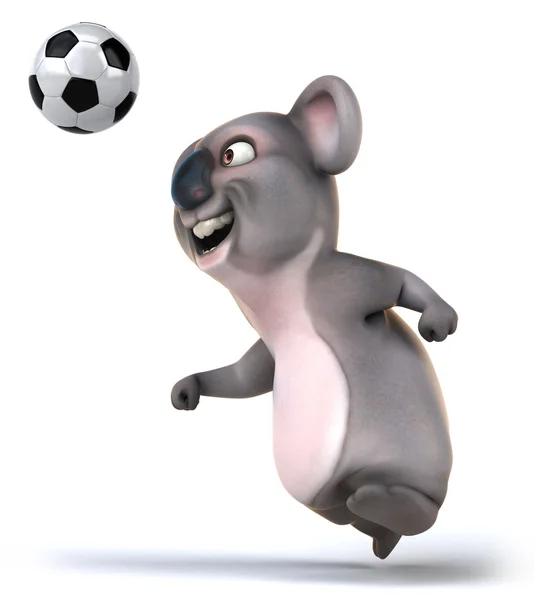 Koala Stock Photo by ©julos 47309577