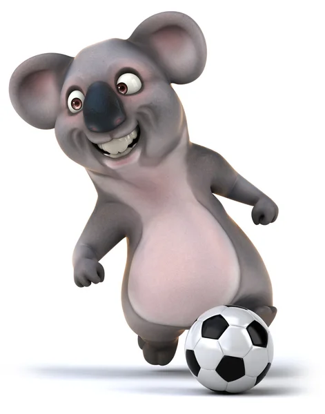 Koala Stock Photo by ©julos 47309577