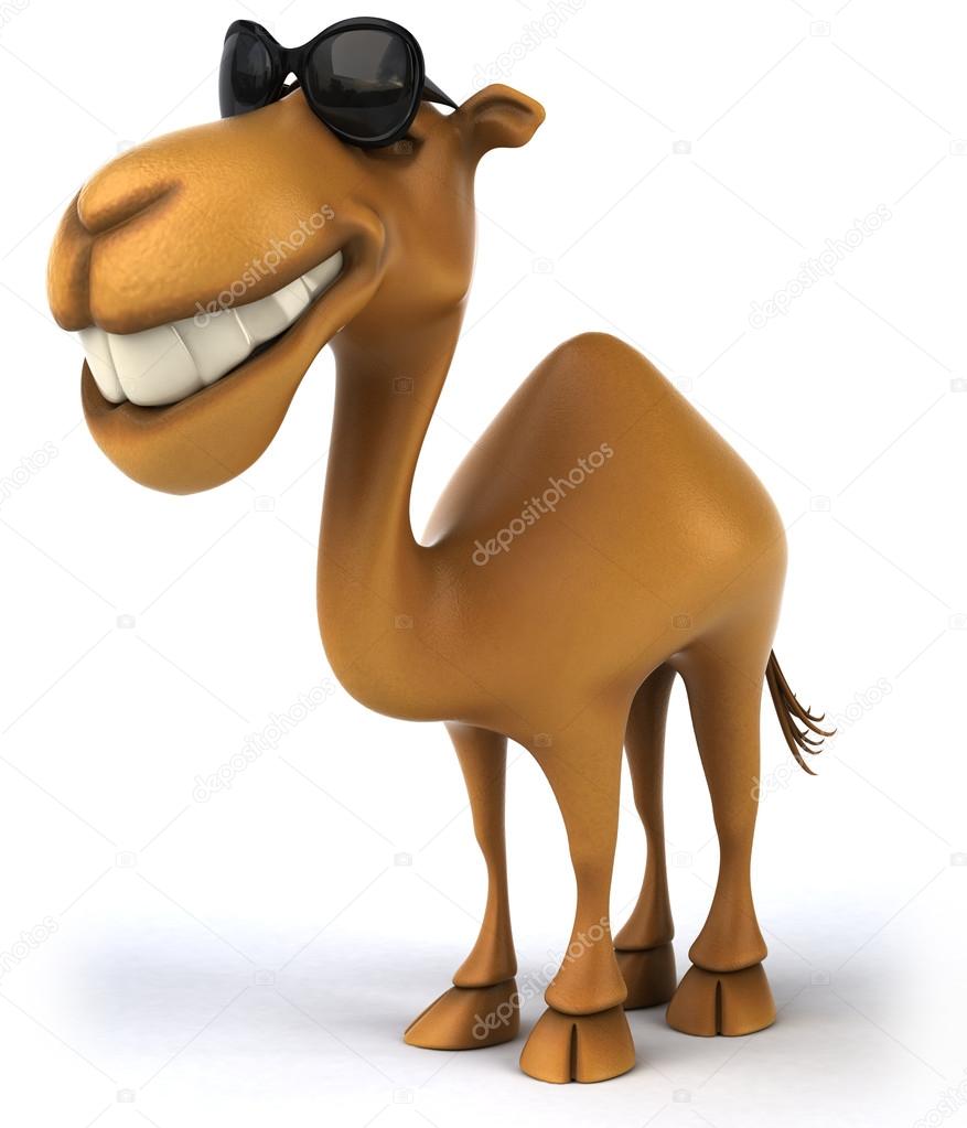 Fun Camel — Stock Photo © julos #48292359