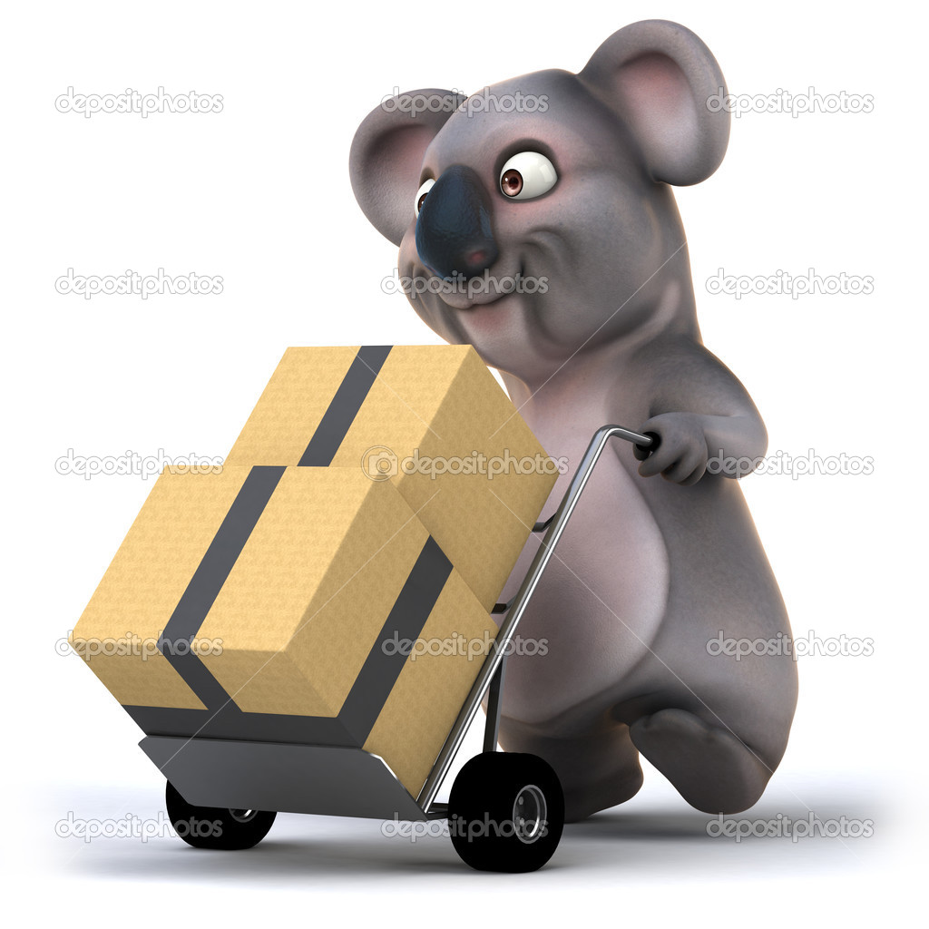 Koala with boxes Stock Photo by ...