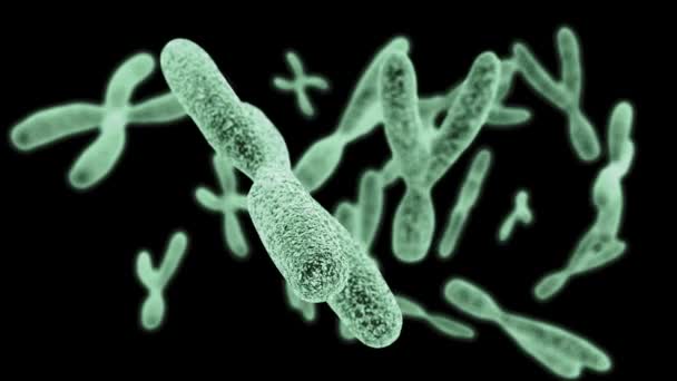 DNA under microscope — Stock Video © razlomov #50051381