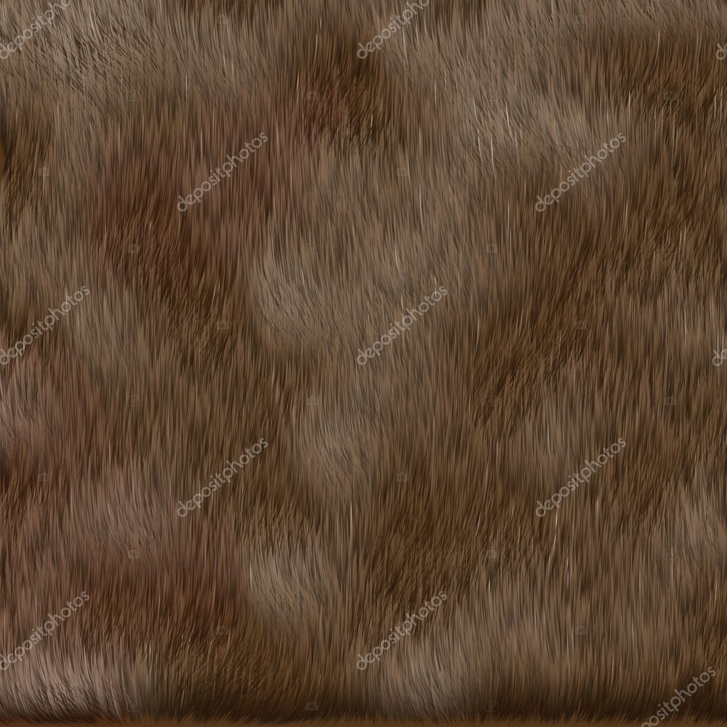 Brown dog fur texture Stock Photo by ©sfinks 41512041