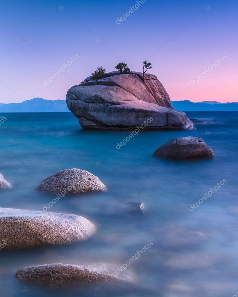 Bonsai Rock — Stock Photo © mblach #50816241