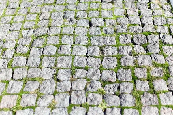 Cobble stone pavers — Stock Photo © Sergieiev #6742674