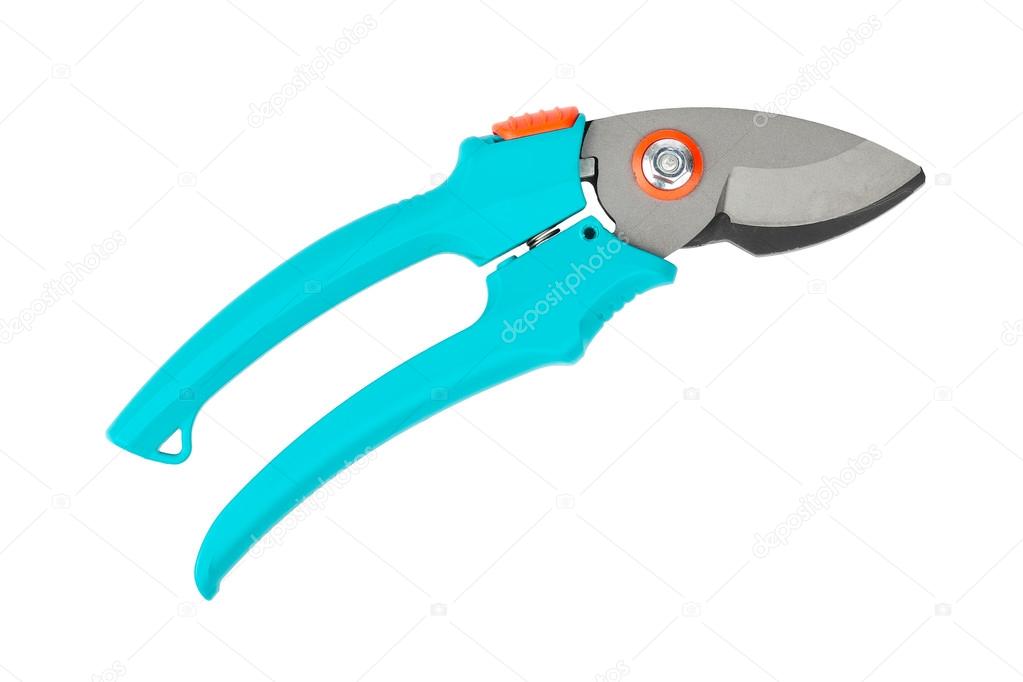 Single pruner Stock Illustration by ©bozhdb #42582059