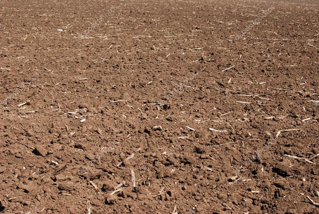 Soil — Stock Photo © Ian_2010 #33493517