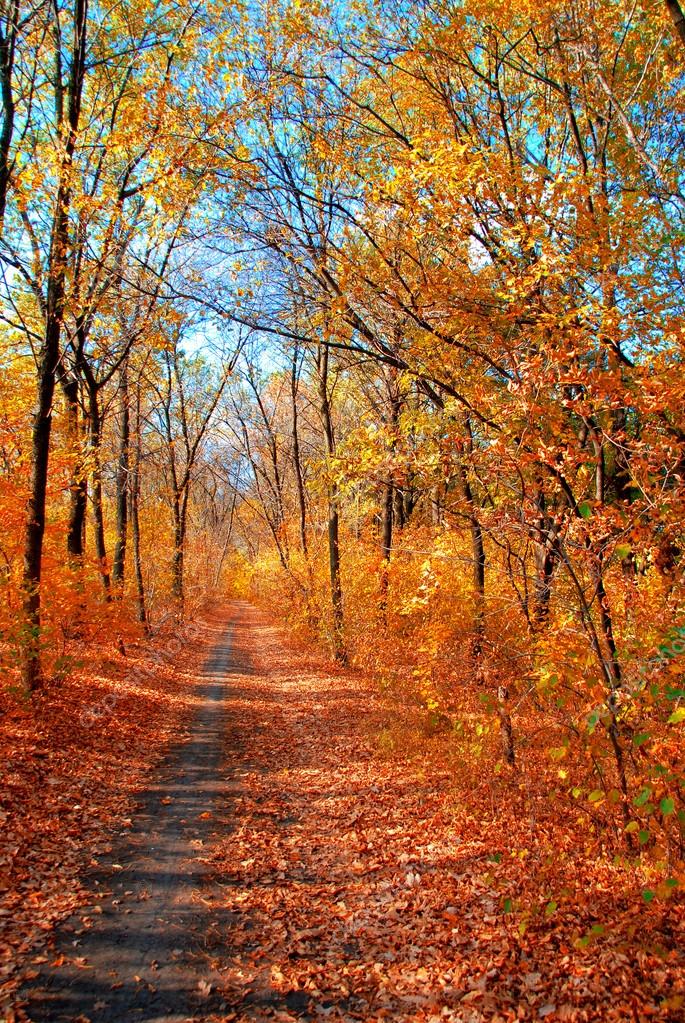 Autumn — Stock Photo © Ian_2010 #34375071 Autumn — Stock Photo © Ian_2010 #34375071