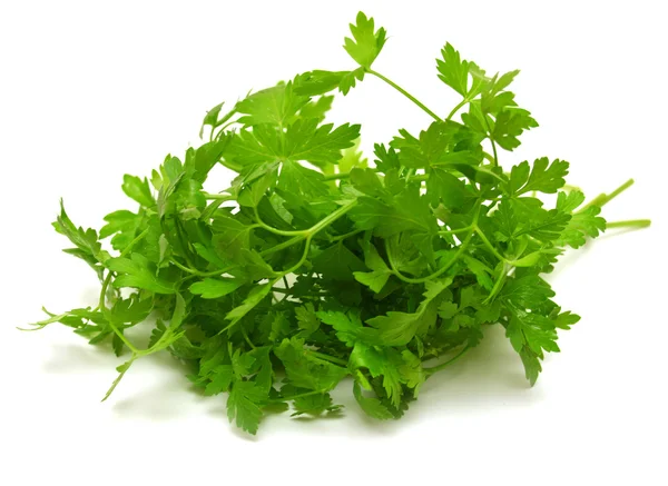 Fresh parsley Stock Photos, Royalty Free Fresh parsley Images ...