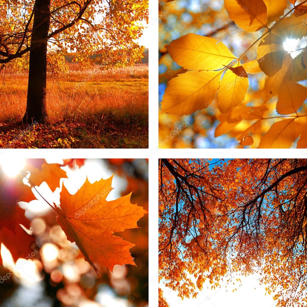 Collage of photos of autumn Stock Photo by ©Ian_2010 47764359