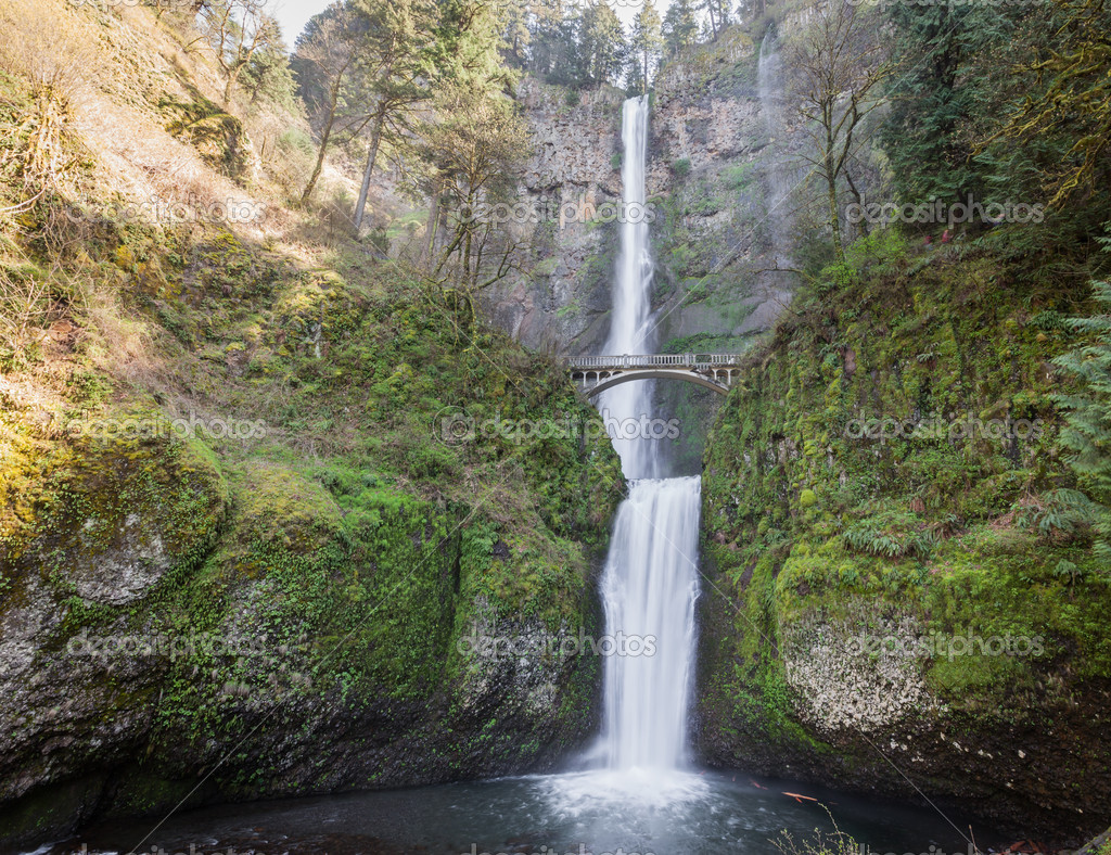 As Cataratas Multnomah, oregon — Fotografias de Stock © wollertz #44889569