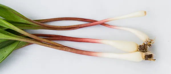 Wild ramps Stock Photos, Royalty Free Wild ramps Images | Depositphotos