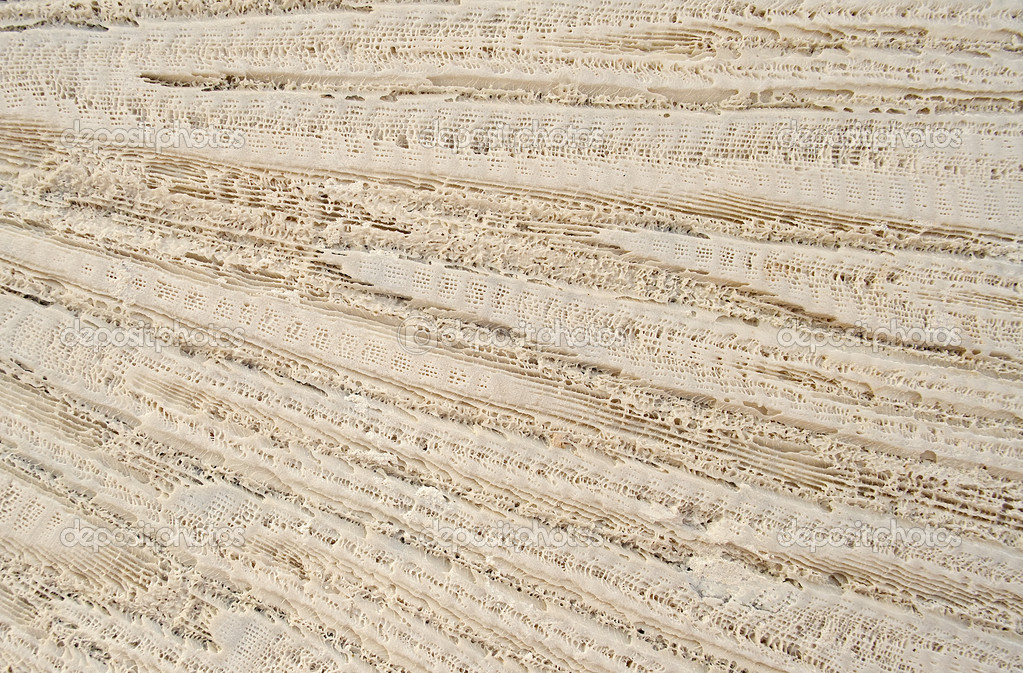 Coral brick texture Stock Photo by ©vtopko 18027923