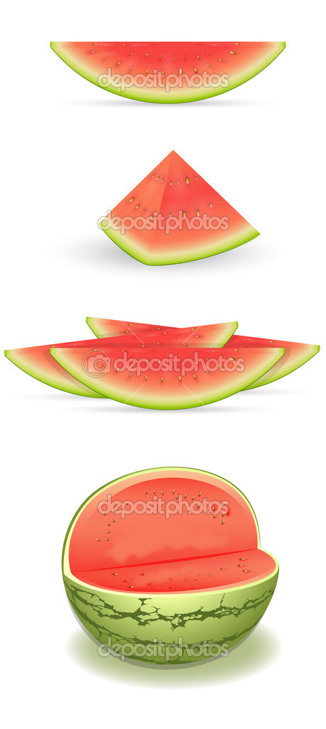 Vectores de sandía Vector de stock por ©baavli 12836764