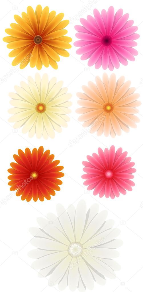 Flower Vectors Stock Vector Image by ©baavli #12862688