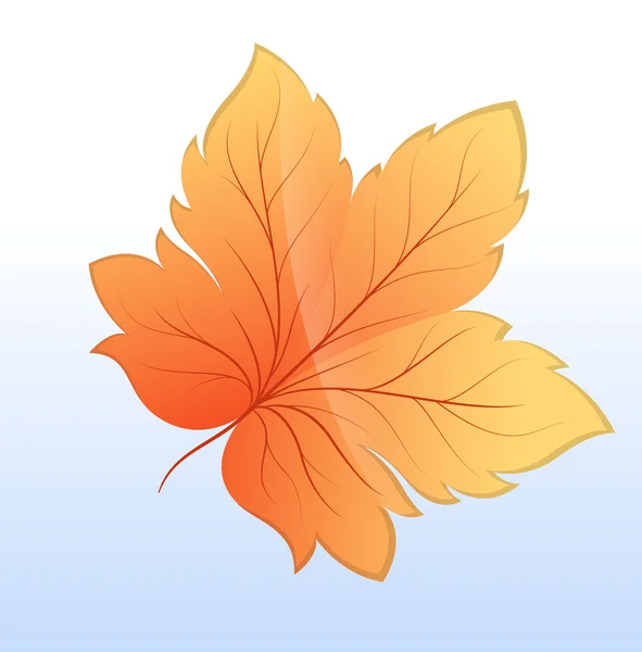 Automn Vector Art Stock Images | Depositphotos