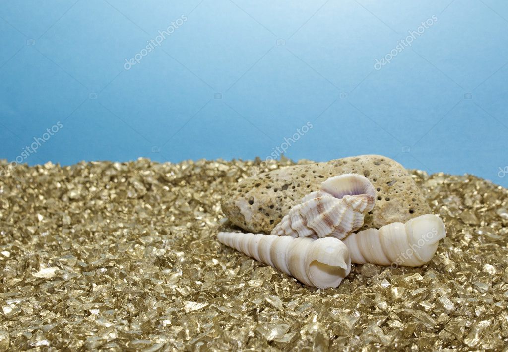 Golden pebbles sea shells background Stock Photo by ©baavli 40117869