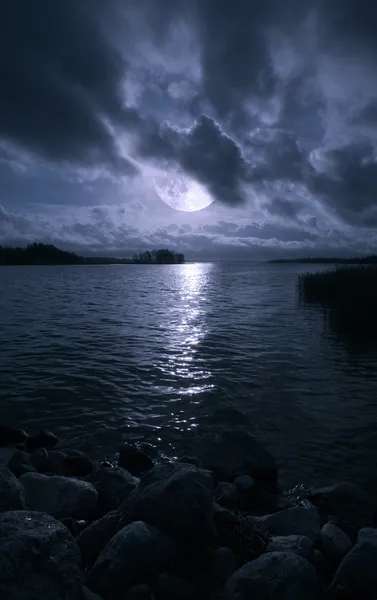 ᐈ Moonlight over water painting stock photos, Royalty Free moonlight on ...