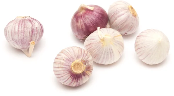 Single clove garlic Stock Photo by ©Tamara_k 36445537