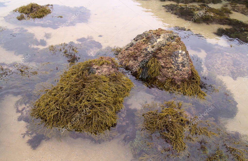 Parte costera de Cantabria en el norte de España, Costa Quebrada, es ...
