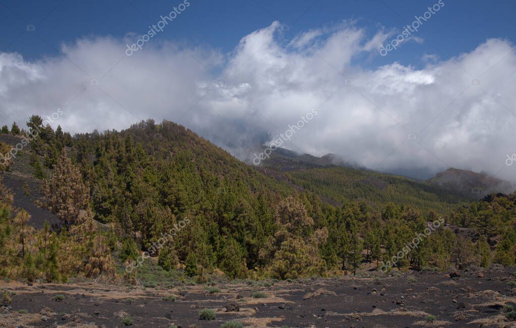 La Palma, paisajes a lo largo de la popular ruta de senderismo de largo ...