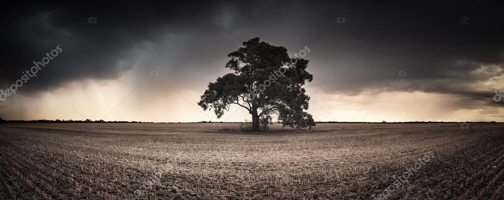 Storm farm Stock Photos, Royalty Free Storm farm Images | Depositphotos