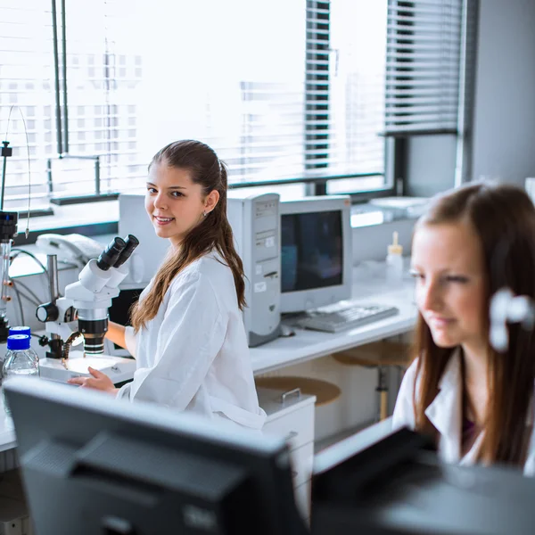 Two young researchers in a lab - Stock Image - Everypixel