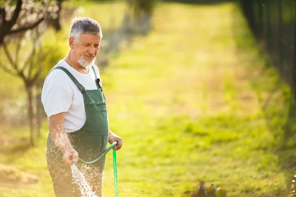 Man landscaping home Stock Photos, Royalty Free Man landscaping home ...