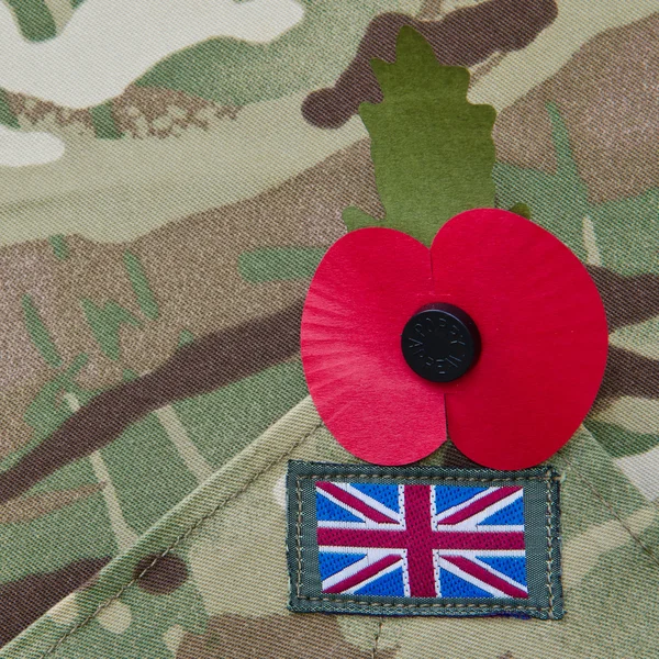 Remembrance day poppy appeal — Stock Photo © dambuster #14041579