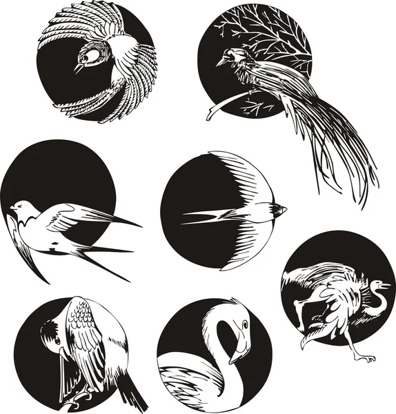 Round animal designs — Stock Vector © rorius #10680530