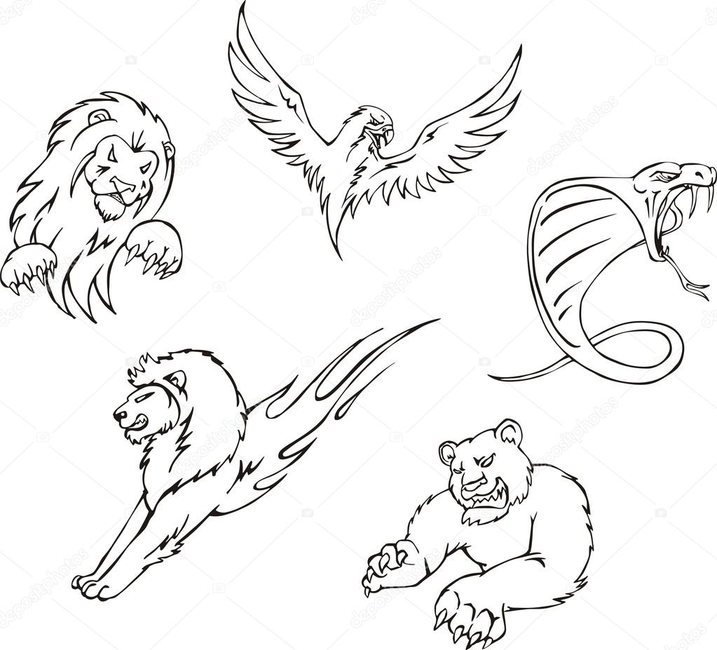 Predatory Animals Drawings Wild Animals Sketch Images Free Download