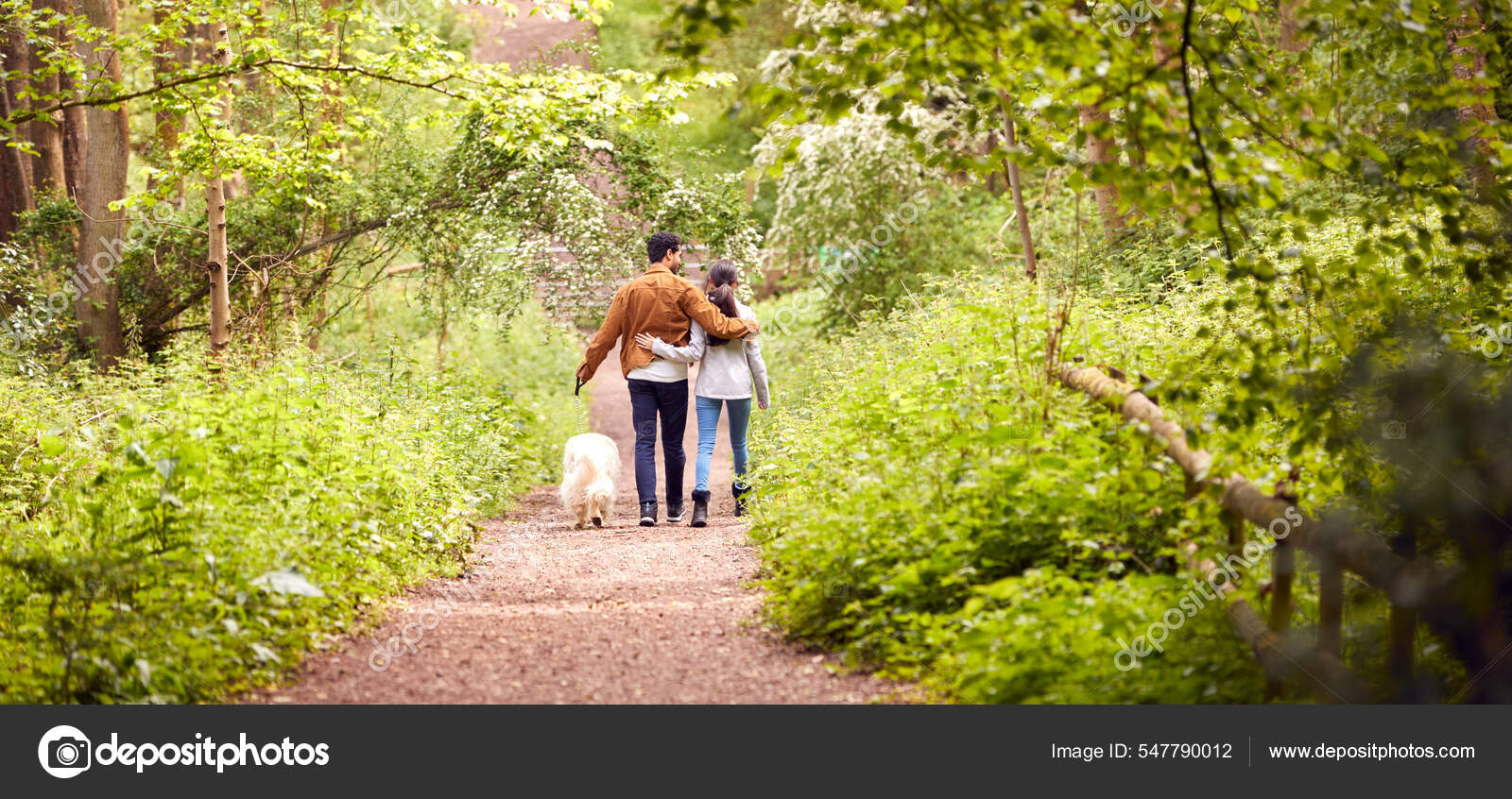 Rear View Couple Pet Dog Walking Path Trees Countryside — Stock Photo ...