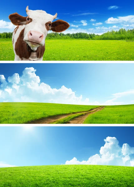 Set of spring banners - Stock Image - Everypixel