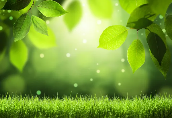 Spring background Stock Photo by ©Krivosheevv 28838103